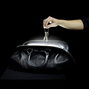 Motion Sensor Purse Light – itsThoughtful